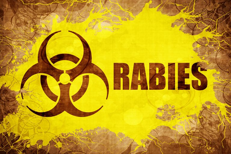 Rabiës – Hondsdolheid - Dierenkliniek Tiel-Drumpt