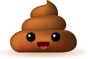 Poep eten door de hond, waarom doet hij dit? - Dierenkliniek Tiel