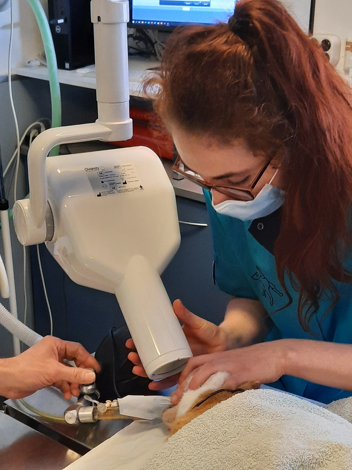 Dentale röntgen, een verbetering van de gebitsbehandeling