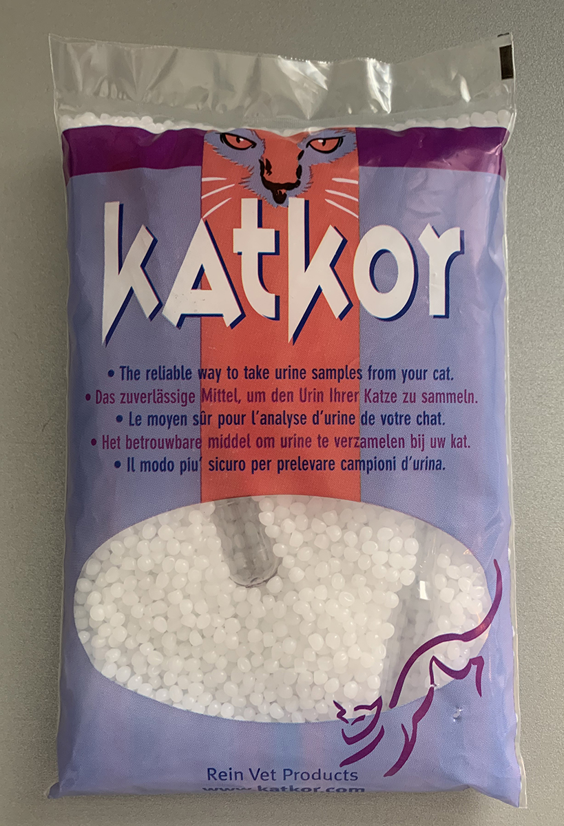 Waarom plast mijn kat in huis? - Dierenkliniek Tiel-Drumpt