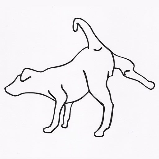 Exercise Induced Collapse in Labrador Retrievers (EIC)