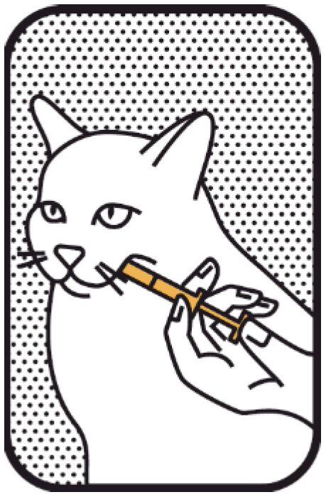 Bijsluiter Bonqat 50 mg/ml drank voor katten - Dierenkliniek Tiel